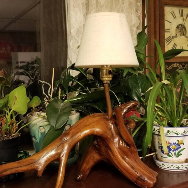 Tree Trunk Lamp - Etsy