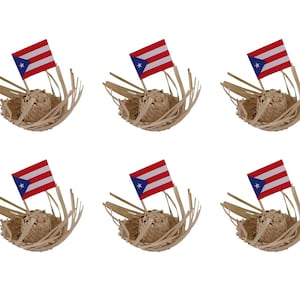 Mini 2" Pava Straw Traditional Hats Puerto Rico Traditional Hats Bottle ...