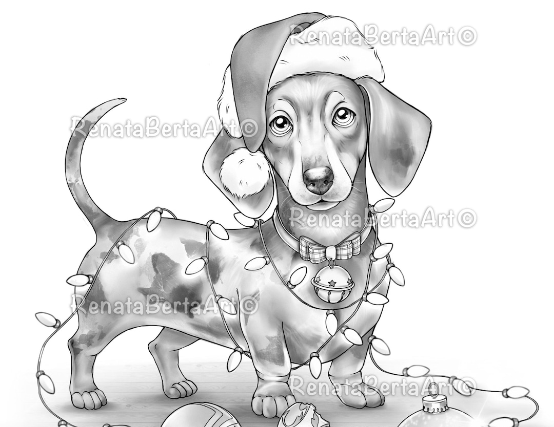 Dachshund Christmas Coloring Page - Santa Hat, Broken Ornament, Festive ...