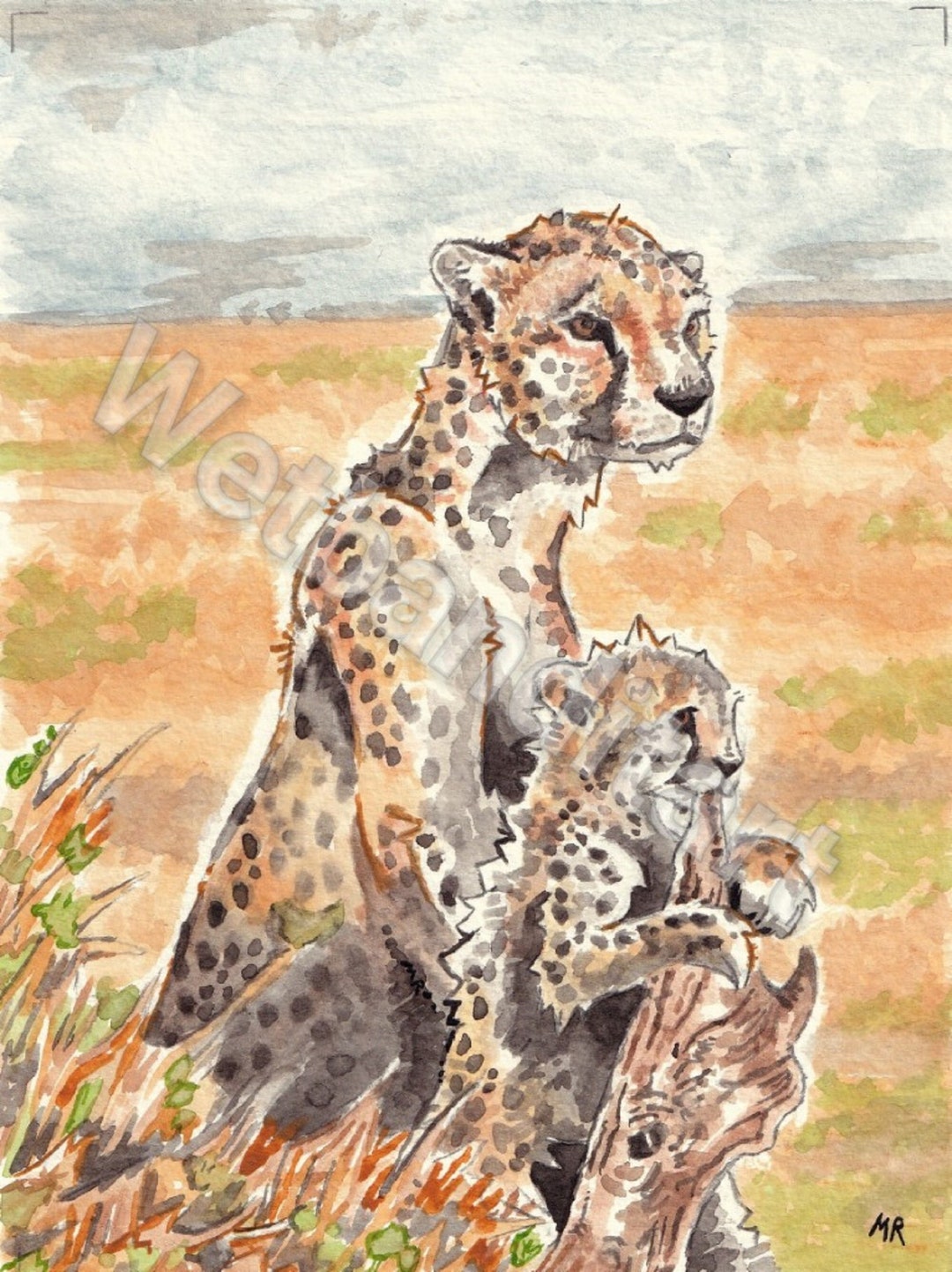 Cheetah Print - Etsy