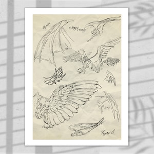 Feyre Wings Study Printable Wall Art | Illyrian, Peregrin, Darkbringer ...