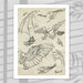 Feyre Wings Study Printable Wall Art | Illyrian, Peregrin, Darkbringer ...