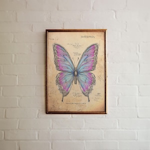 Quicksilver Kingfisher Printable Wall Art | Oshellith Butterfly Poster ...