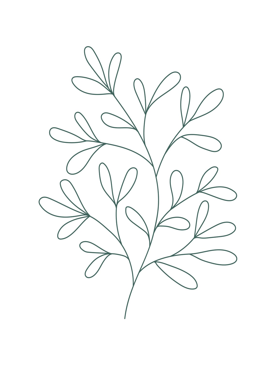 Minimalist Botanical Line Art Simple Round Leaves Drawing - Etsy