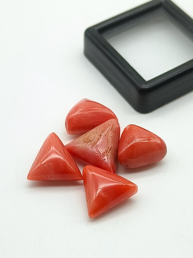 Rare Angle Skin Coral Trilling Shape Cabochon Lot-100%natural Salmon ...