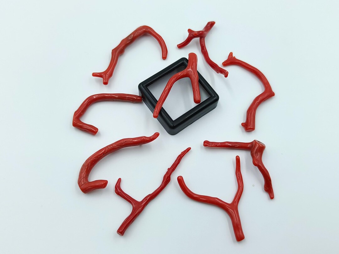 Natural Red Coral Stick Lot: Mediterranean Sea Rough Branches (65 CT ...