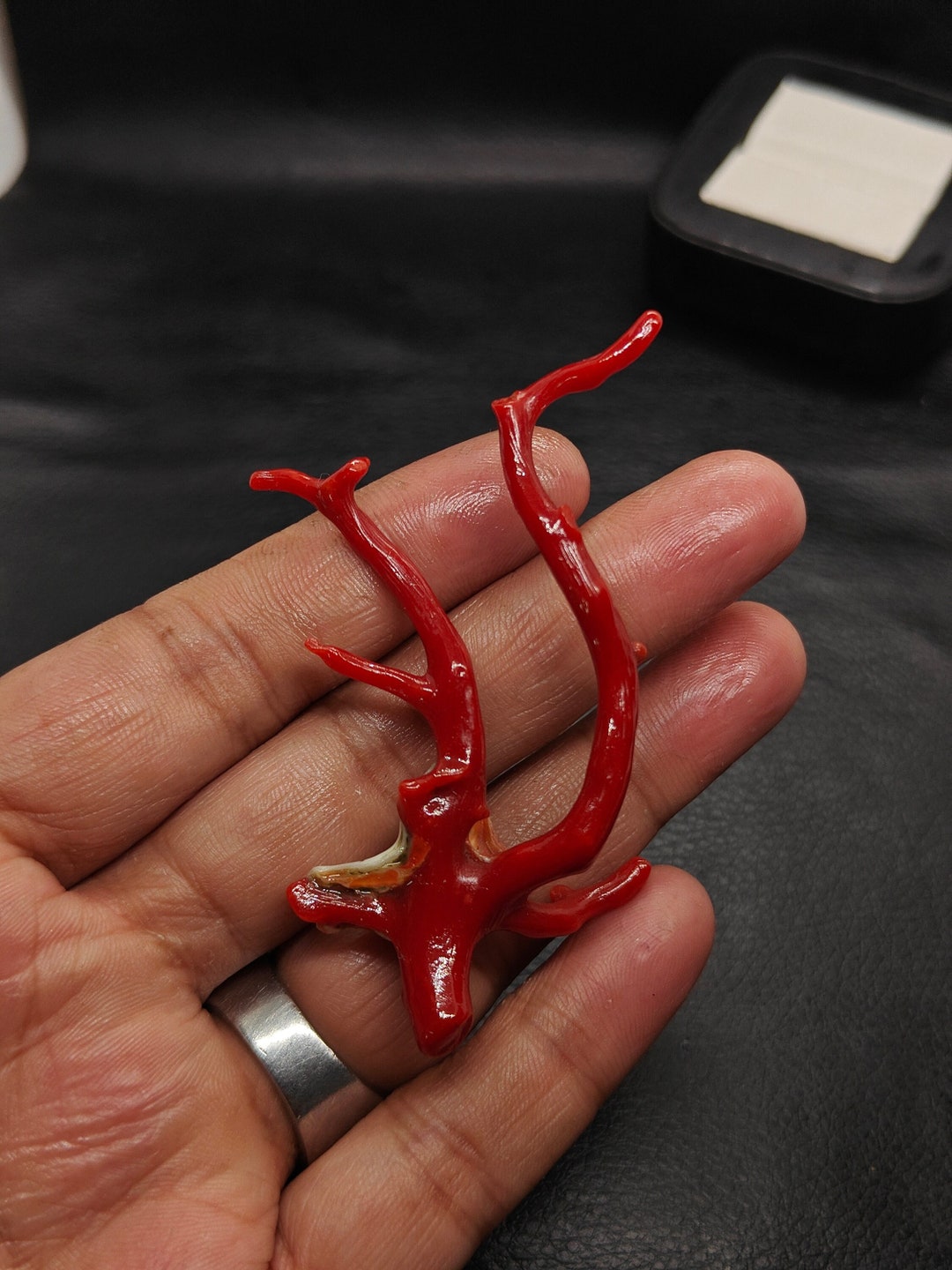 Natural Red Coral Tree Branch-100%natural Red Coral Italian Rough ...