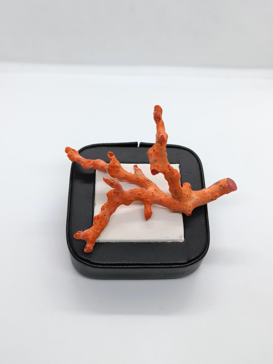 Natural Red Coral Rough Branch-undyed Red Coral Unpolished Loose Rough ...