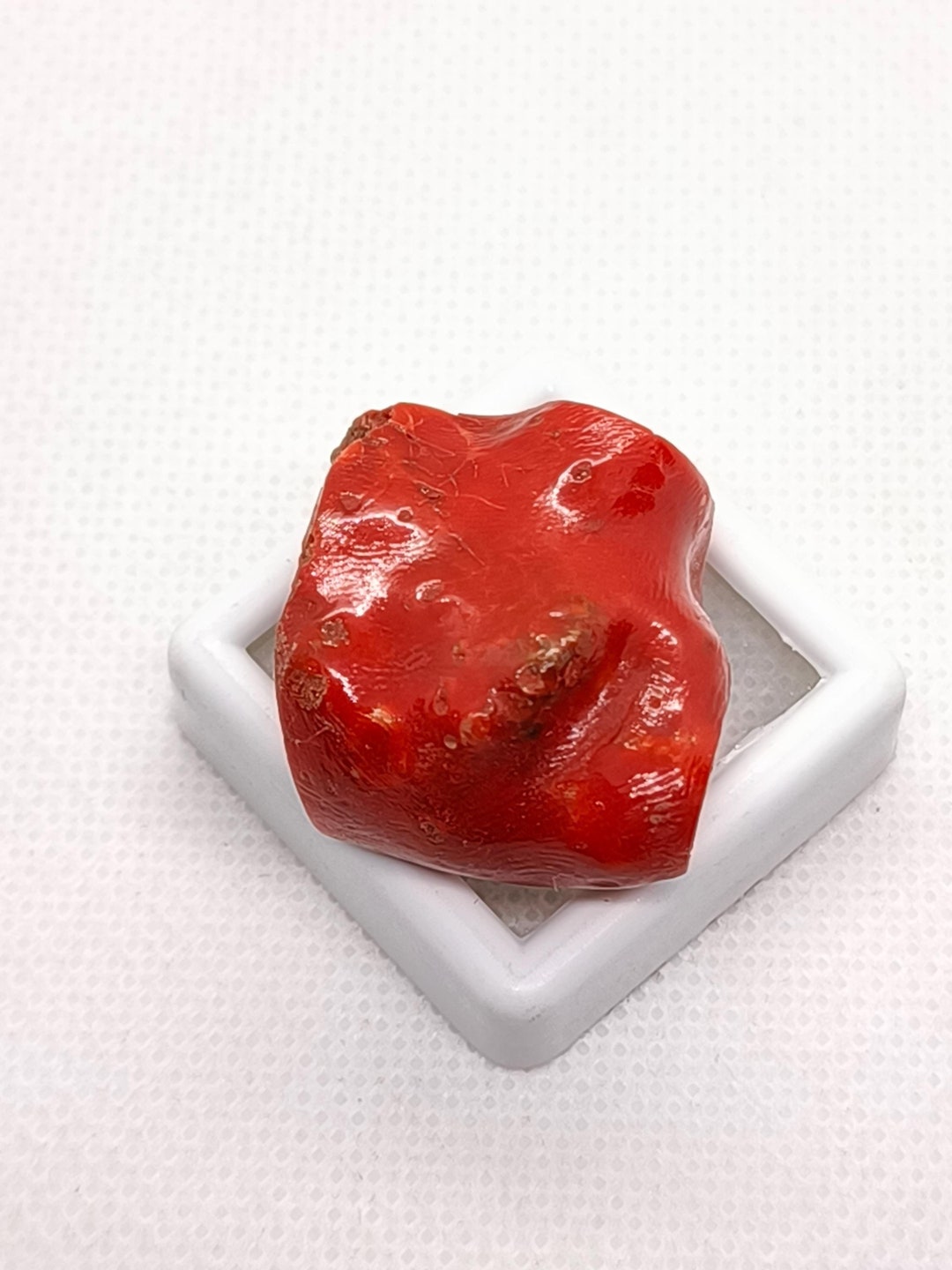 Amazing Red Coral Shiny Polished Loose Gemstone Branches-genuine Red ...