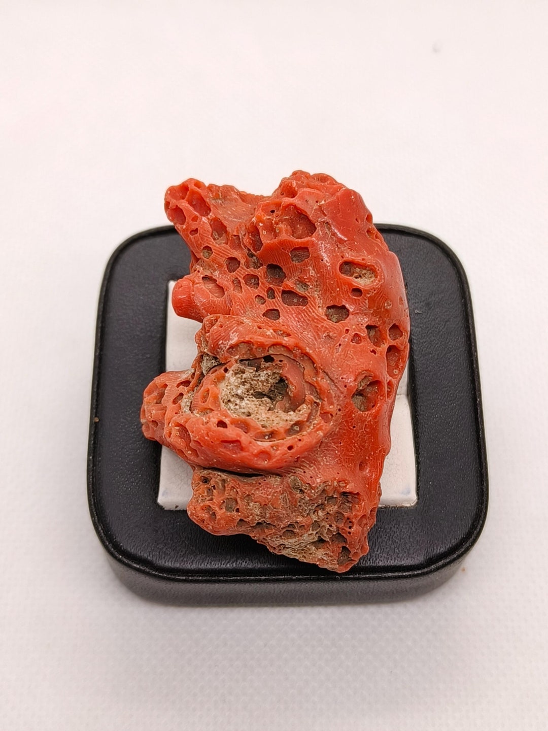 22.70 Gram Natural Italy Red Coral Polished Loose Gemstone Branches ...