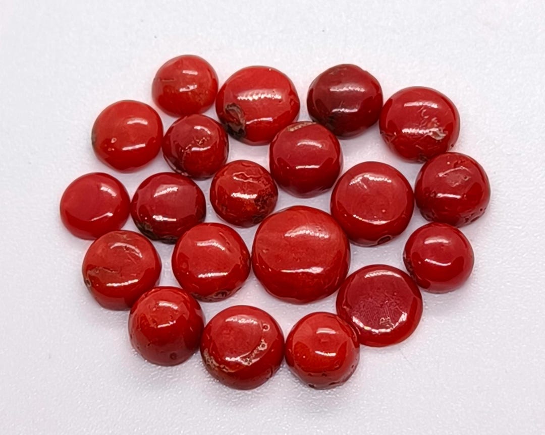 Oxblood Shiny Polished Red Coral Round Cabochon-natural Italian Red ...