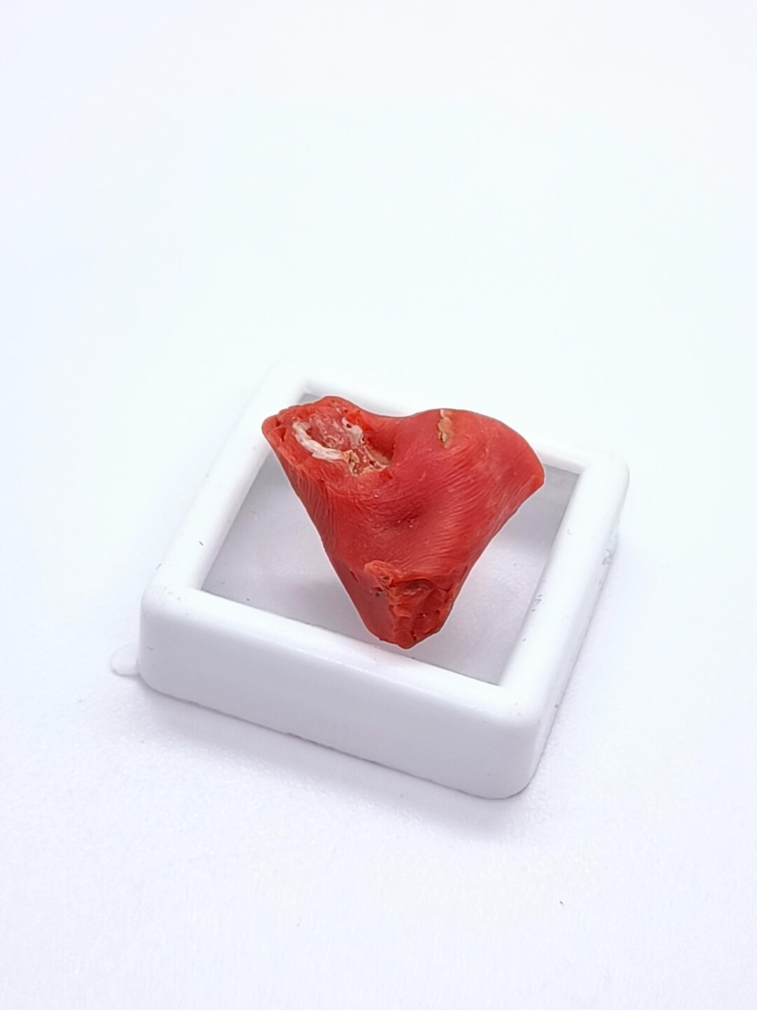 15 Carat !! Red Coral Rough Triangle Unpolished Branch-100% Natural ...