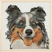Australian Shepherd Cross Stitch Pattern Digital Format PDF - Etsy