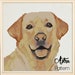 Labrador Dog Cross Stitch Pattern Digital Format - PDF, Labrador ...