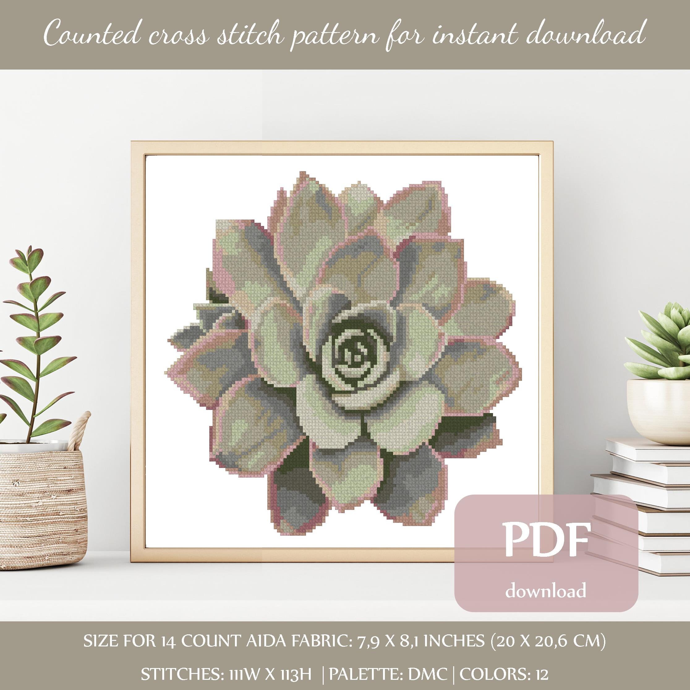 Succulent Cross Stitch Pattern Digital Format PDF Plant - Etsy