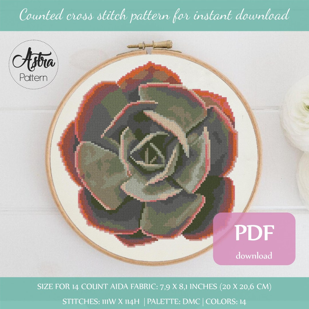 Succulent Cross Stitch Pattern Digital Format - PDF, Plant Cross Stitch ...