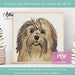 Havanese Dog Cross Stitch Pattern Digital Format - PDF, Pet Portrait ...