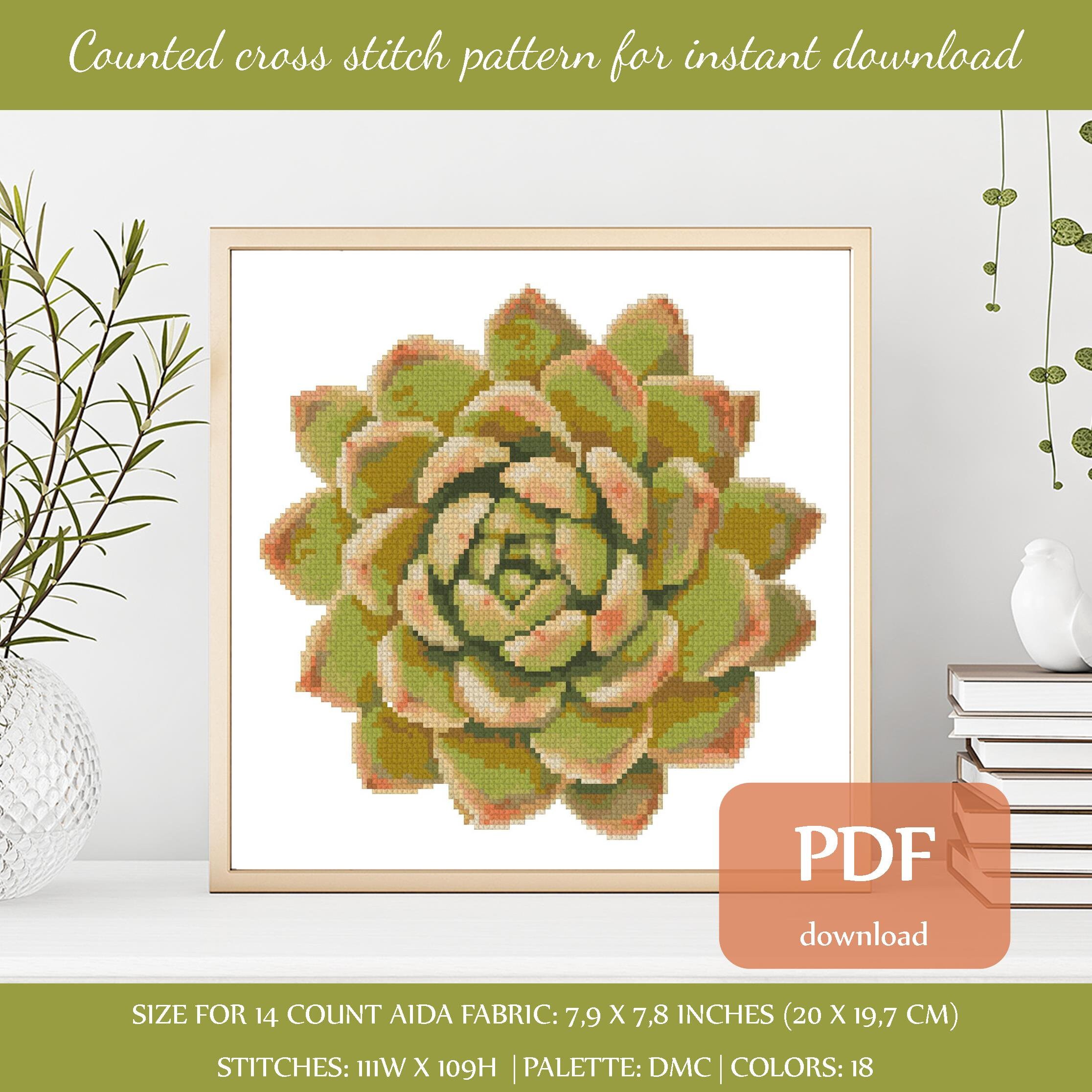 Succulent cross stitch pattern Digital format PDF Modern | Etsy