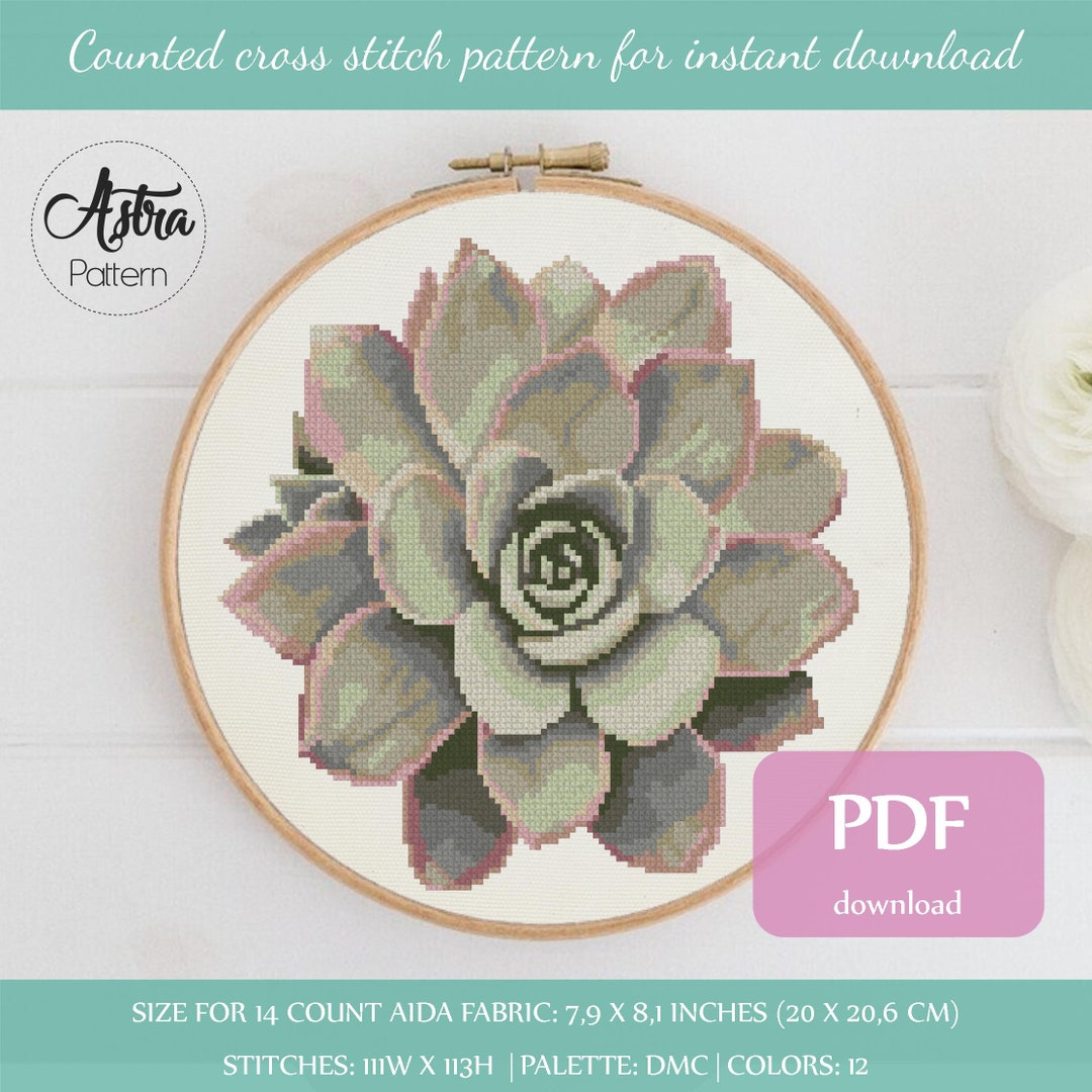 Succulent Cross Stitch Pattern Digital Format - PDF, Plant Cross Stitch ...