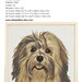 Havanese Dog Cross Stitch Pattern Digital Format - PDF, Pet Portrait ...