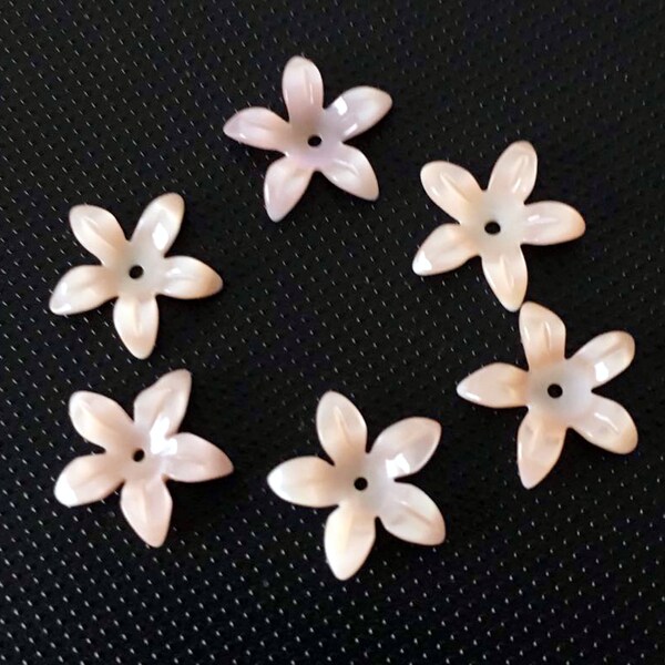 Shell Flowers - Etsy