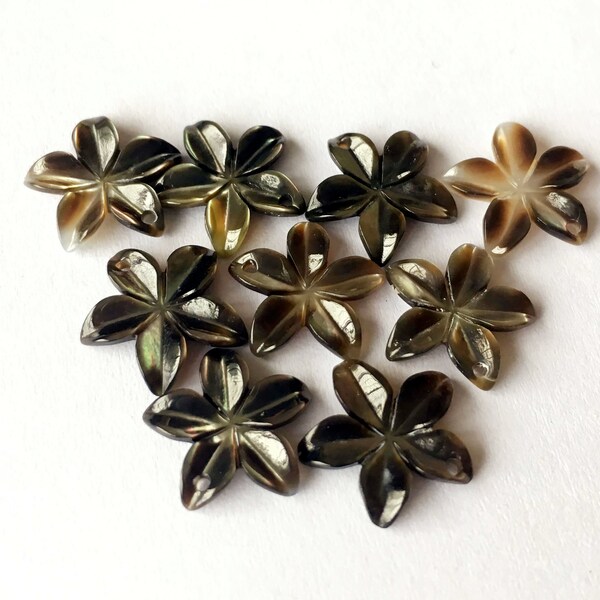 Black Lip Shell - Etsy