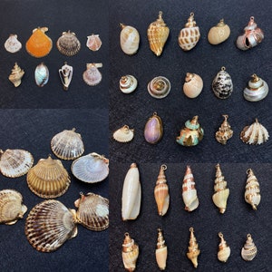 Shell Jewelry - Etsy