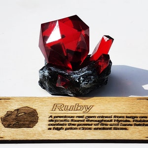 Ruby W/ Plaque - Zelda: Breath of the Wild / Tears of the Kingdom ...