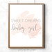 Printable Pink Nursery Wall Decor for Baby Girl Nursery Blush Floral ...