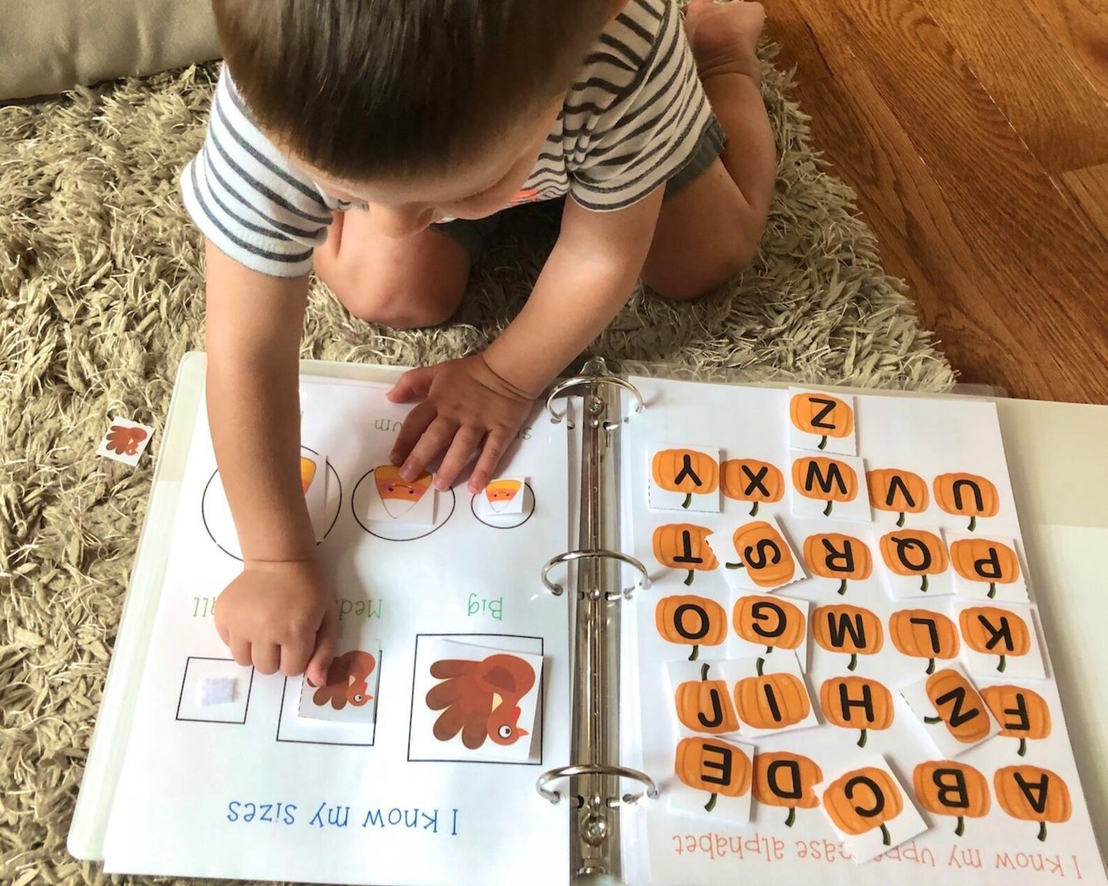 Fall Printable DIY Toddler Preschool Busy Binder quiet Book - Etsy