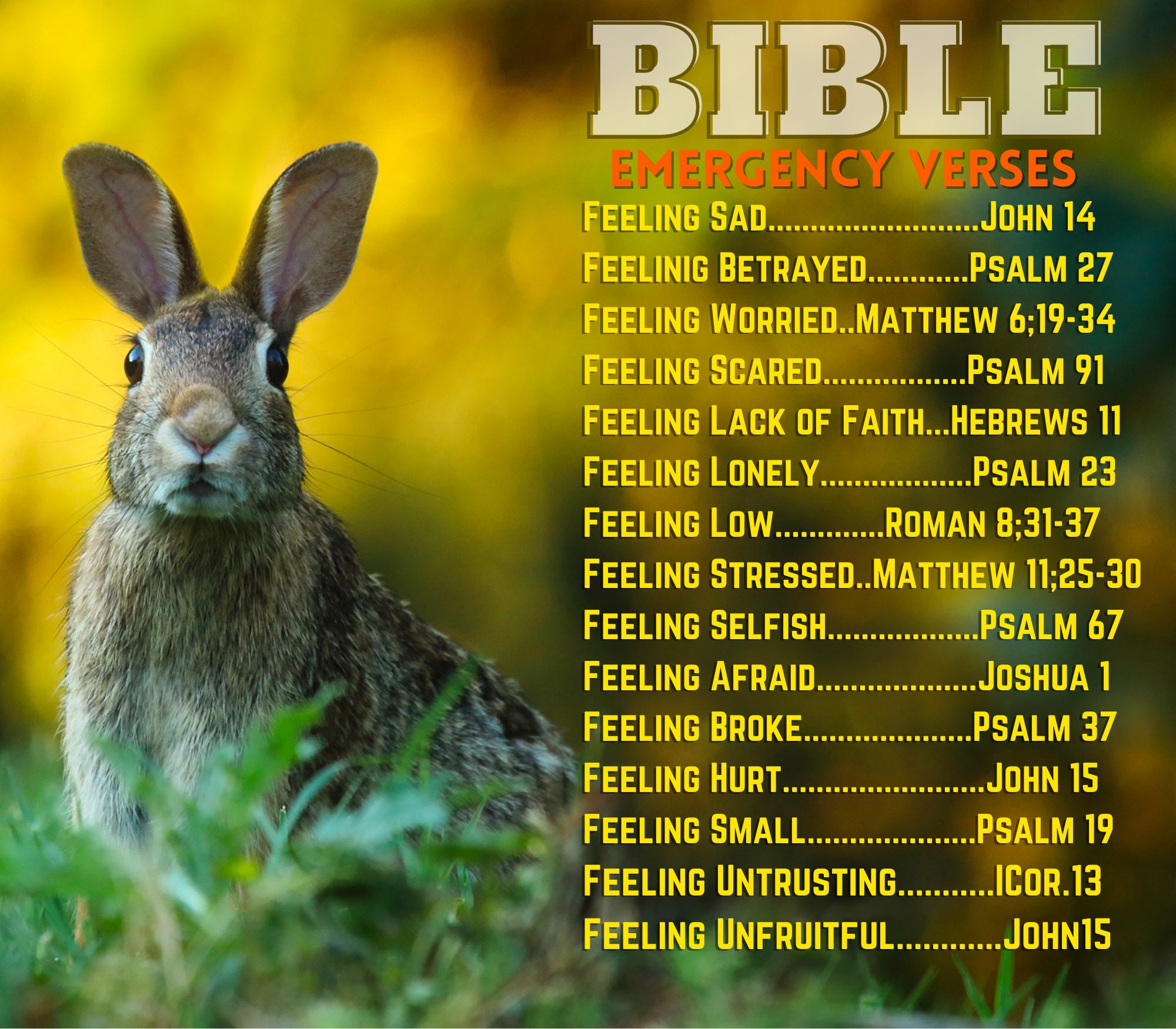 Rabbit Emergency Bible Verses - Etsy