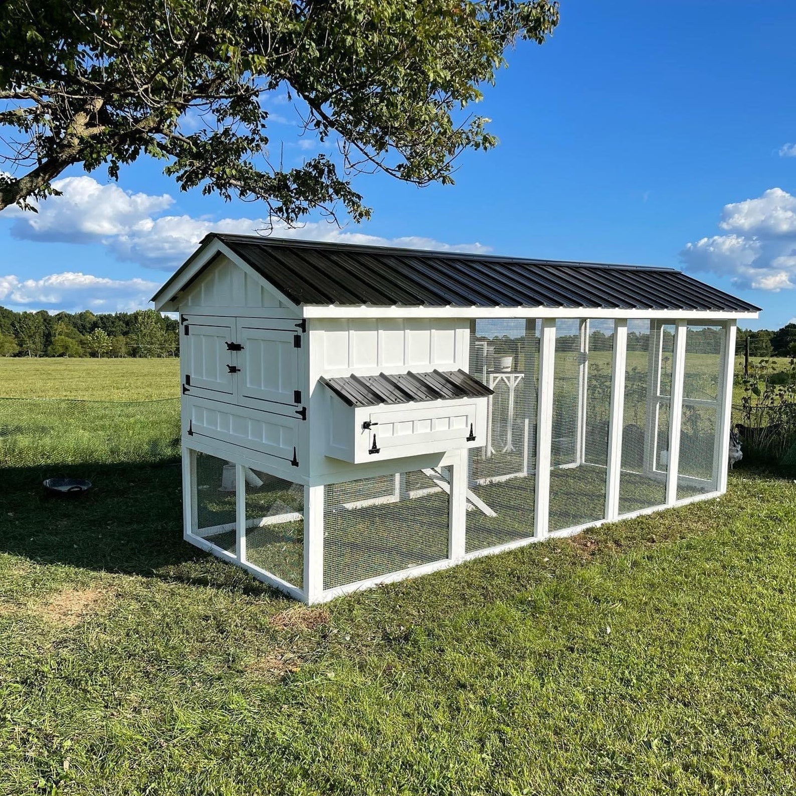 Urban Style Chicken Coop - Etsy