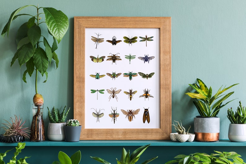 Big Set of Insects Print Bugs Poster Beetles Wall Art Bees - Etsy