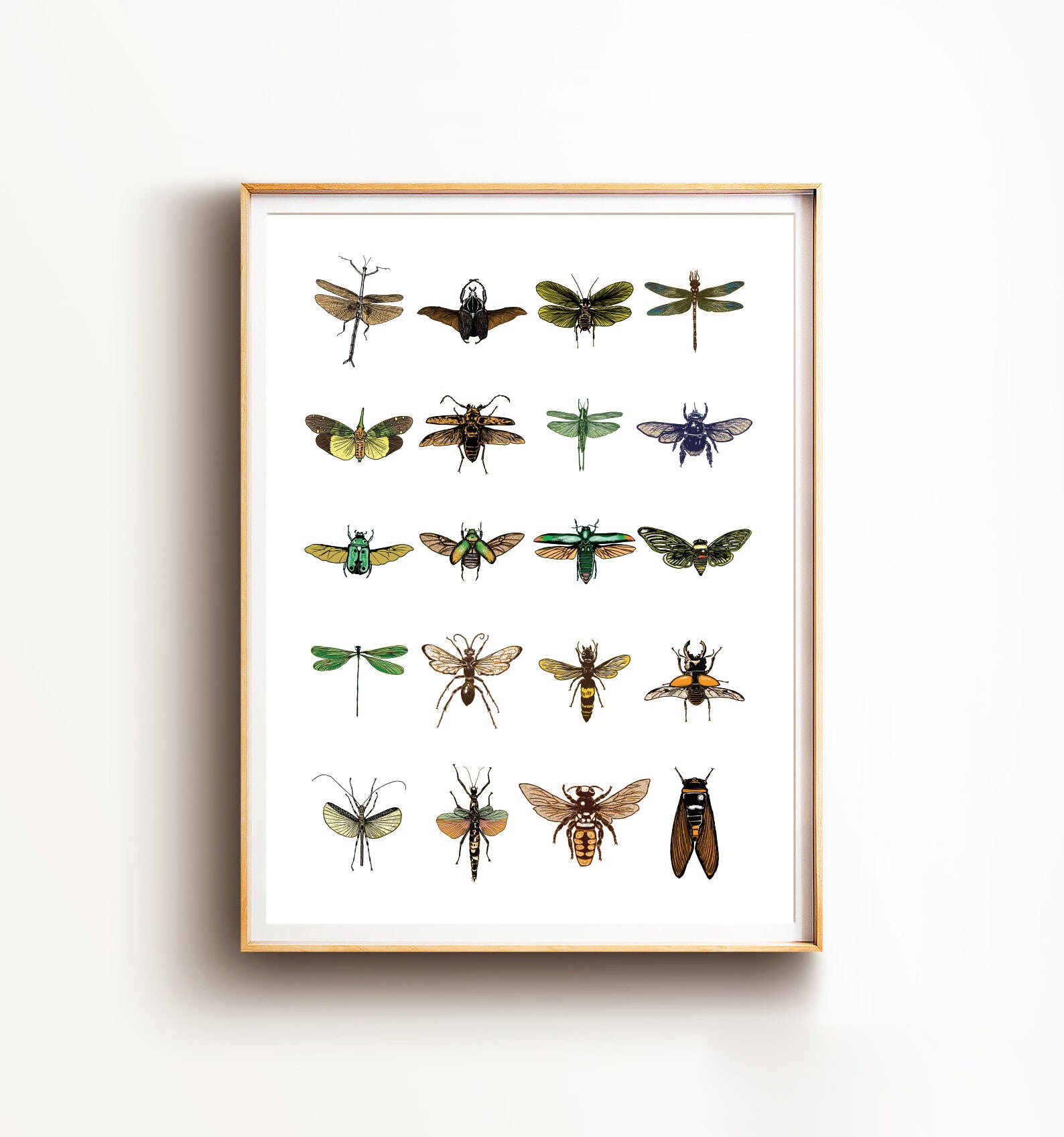Big Set of Insects Print Bugs Poster Beetles Wall Art Bees | Etsy