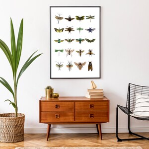 Big Set of Insects Print, Bugs Poster, Beetles Wall Art, Bees Wall ...