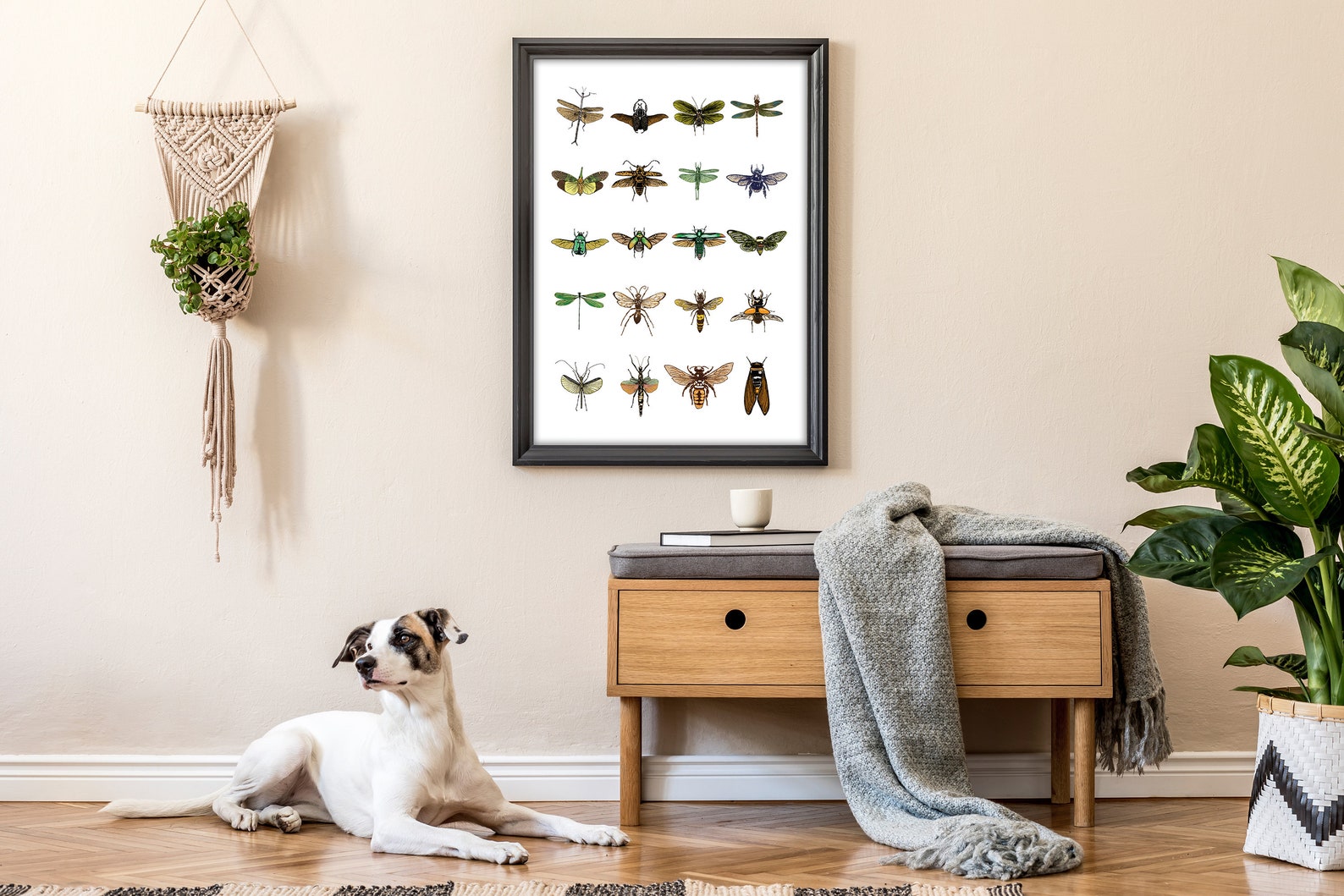 Big Set of Insects Print, Bugs Poster, Beetles Wall Art, Bees Wall ...