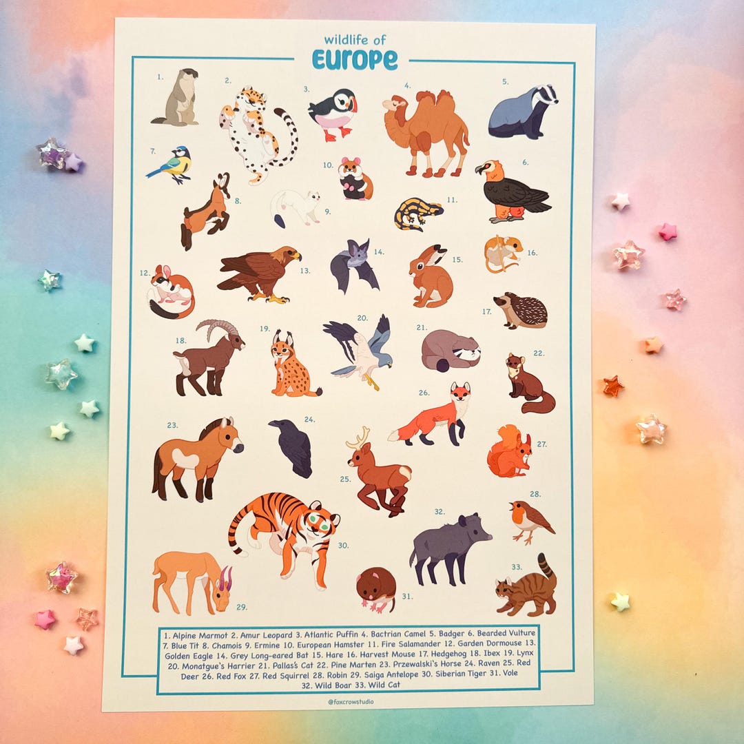 European Animals Poster - Etsy