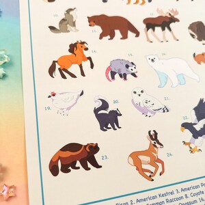 North American Animals Poster - Etsy