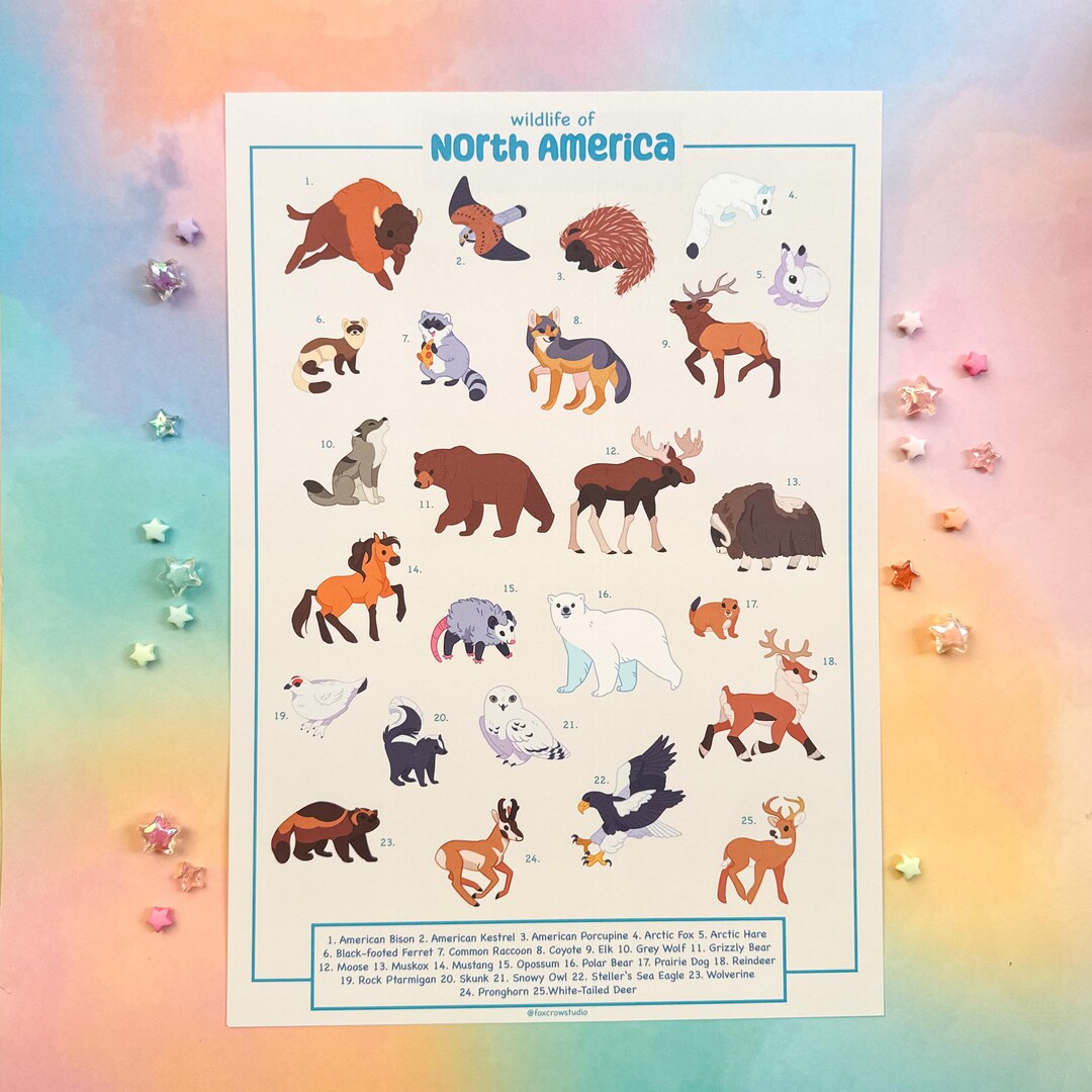 North American Animals Poster - Etsy