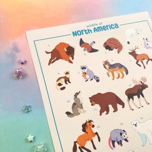 North American Animals Poster - Etsy