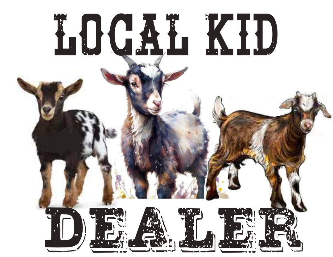 Local Kidd Dealer - Etsy