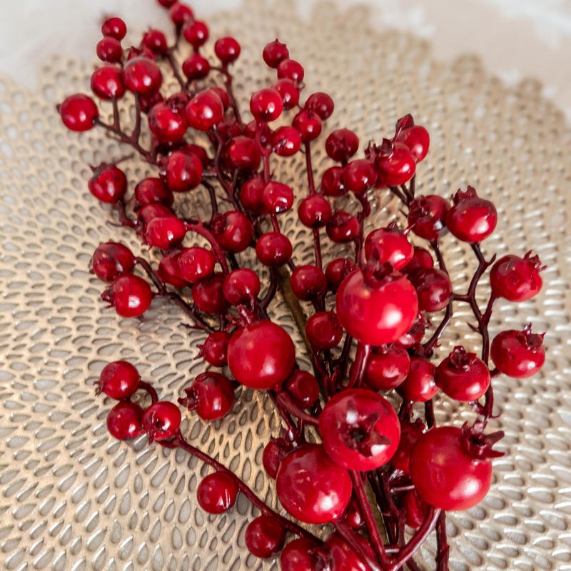 Red Berry Stems - Etsy