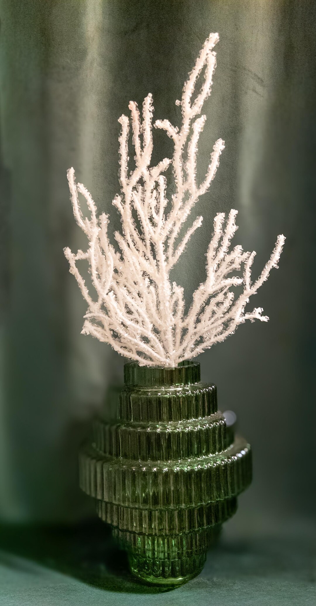 Iced Snowflake Coral Branch – 16.5” Frosted White Winter Pick ...