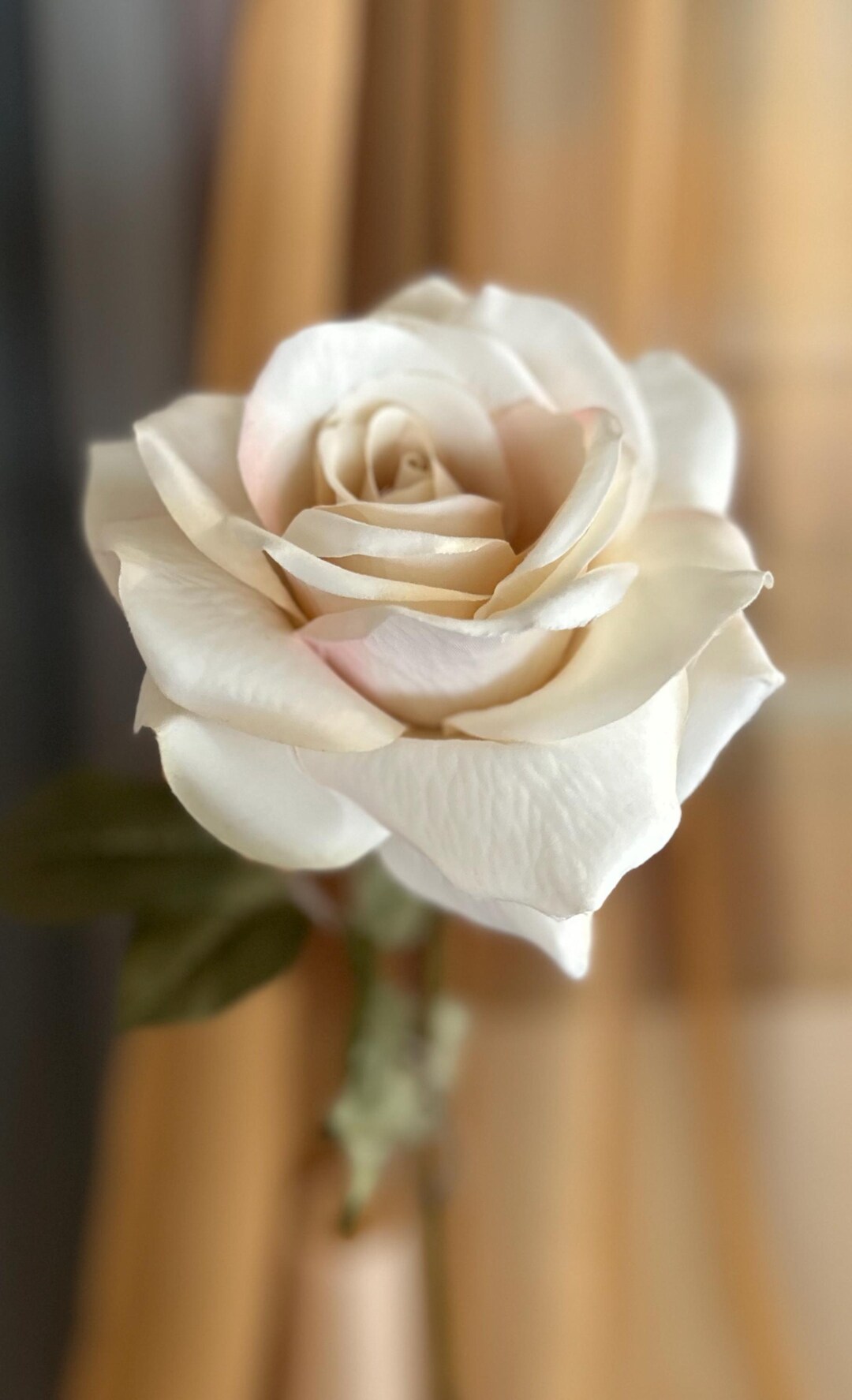 29” Cream Rose Stem - Extra Large Faux Rose With 6” Bloom - Etsy