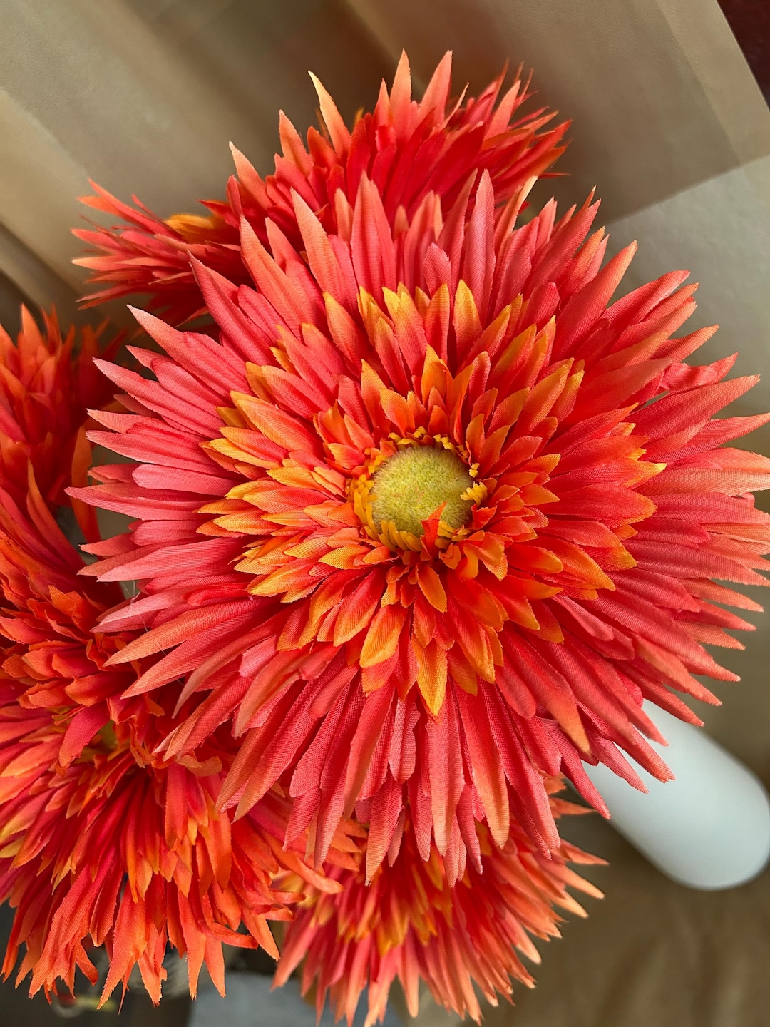 Bright Orange Spider Gerbera Daisy – 26” Stem With Large Bloom - Etsy