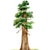 California State Tree/ Great Sequoia /custom Gift/ Fine Art Print ...