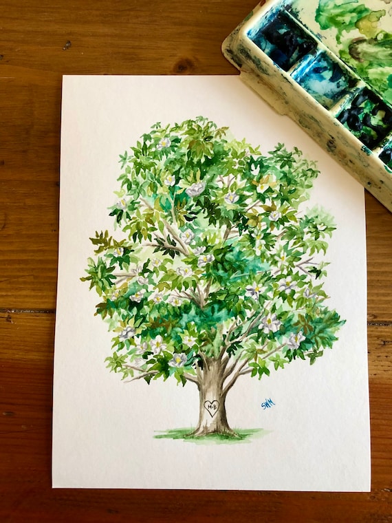 Mississippi State Tree Name