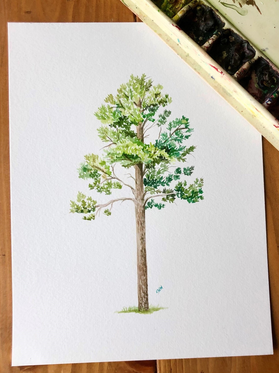 State Tree of Alabama - Southern Longleaf Pine, Original Art, Custom ...