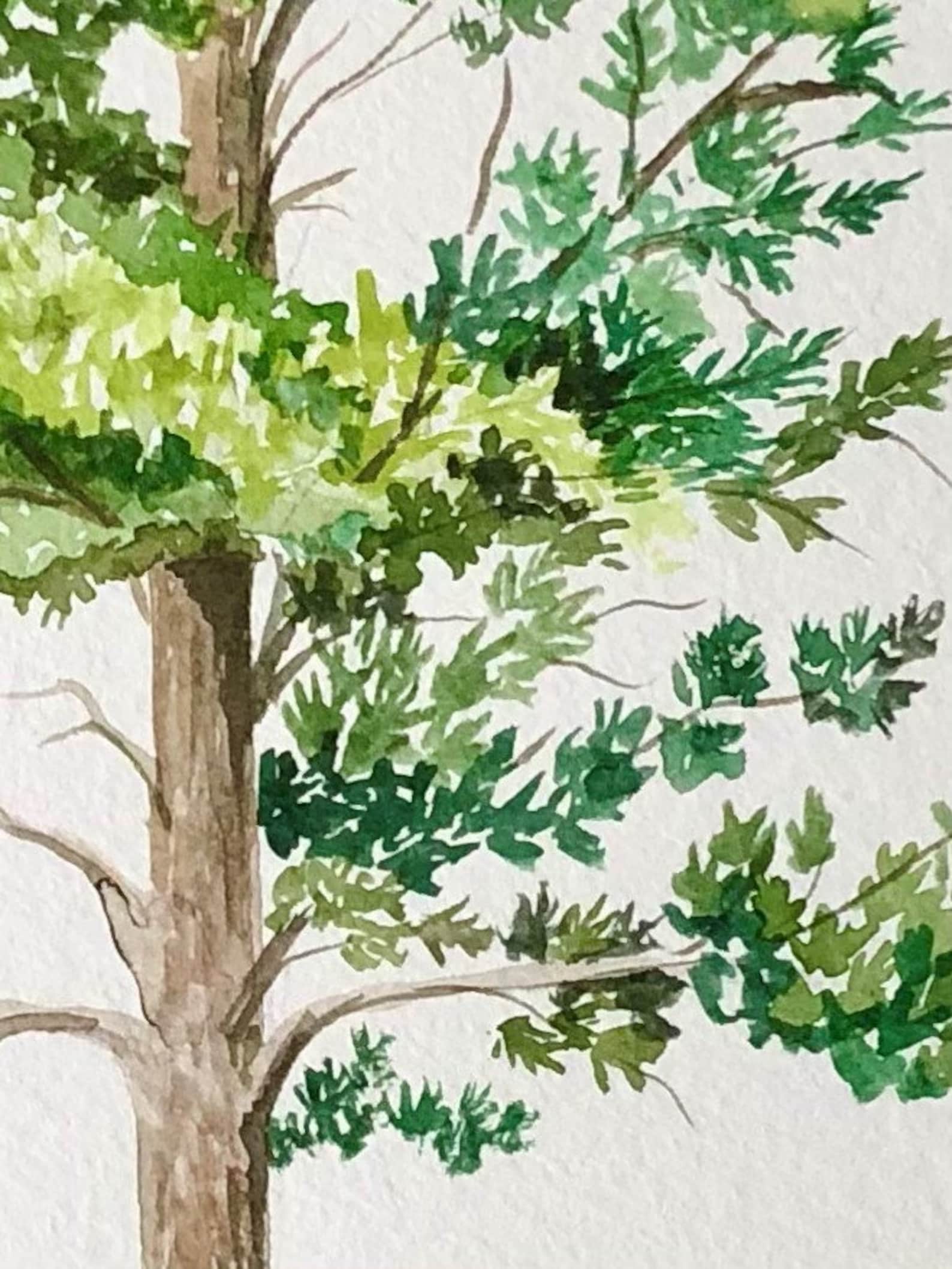 State Tree of Alabama - Southern Longleaf Pine, Original Art, Custom ...
