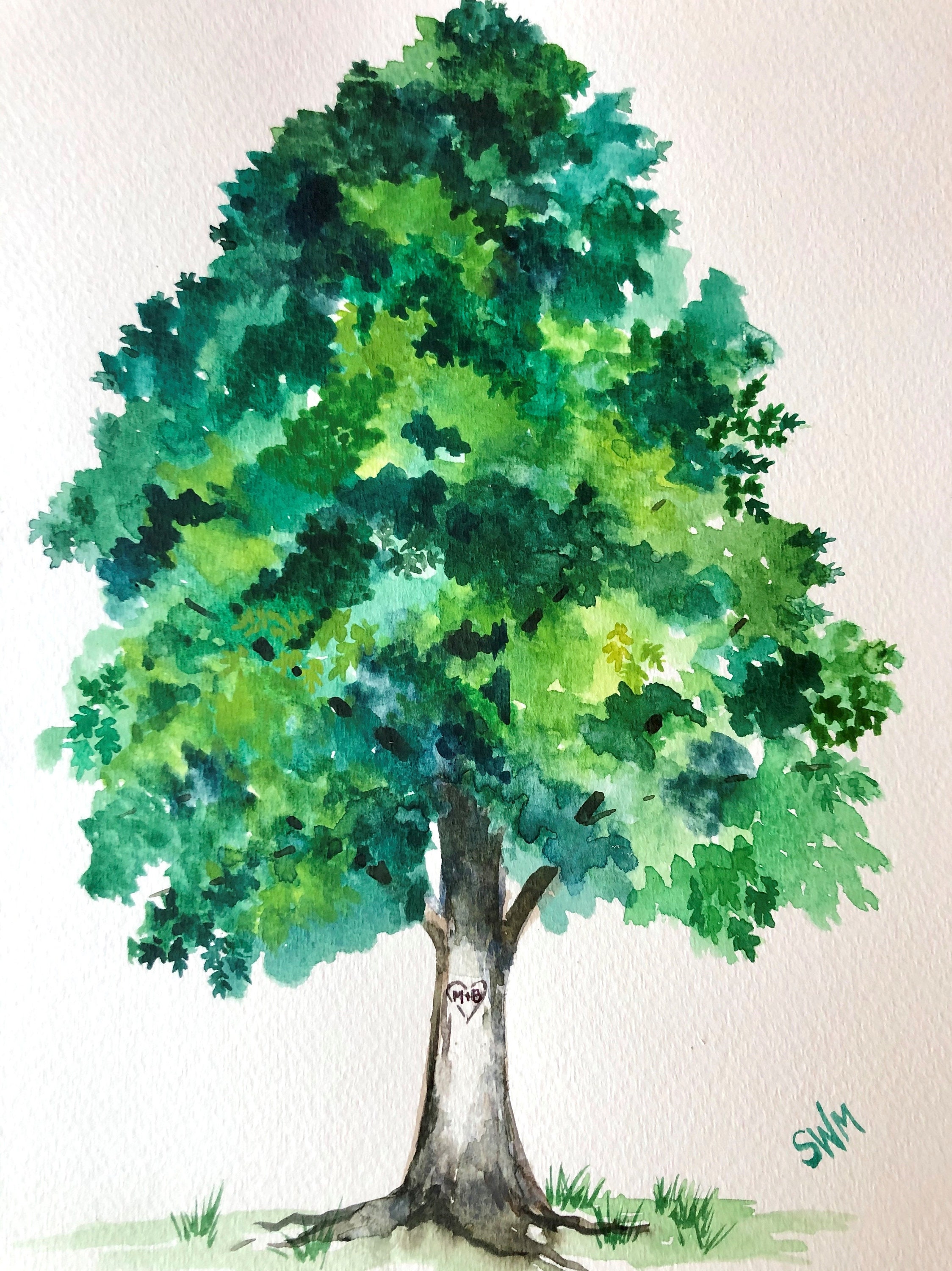 Watercolor State Tree of Maryland, Illinois, Connecticut, White Oak ...